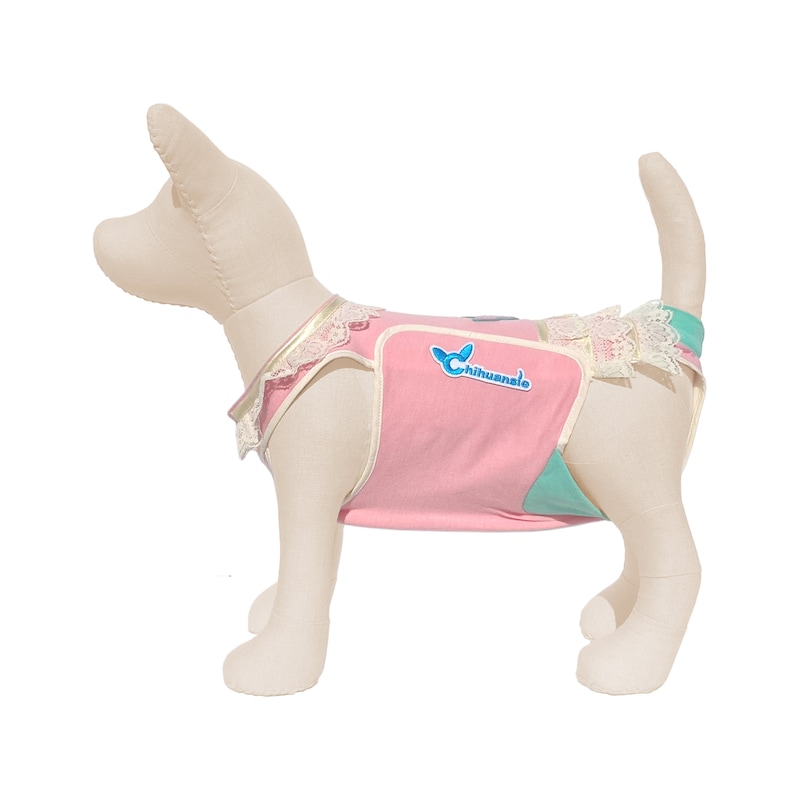 Diapers for Chihuahua - Etsy