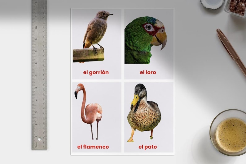 Montessori Animal Flashcards – Spanish Only – Printable PDF for Kids ...