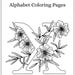 Alphabet A-Z Colouring Book - Etsy