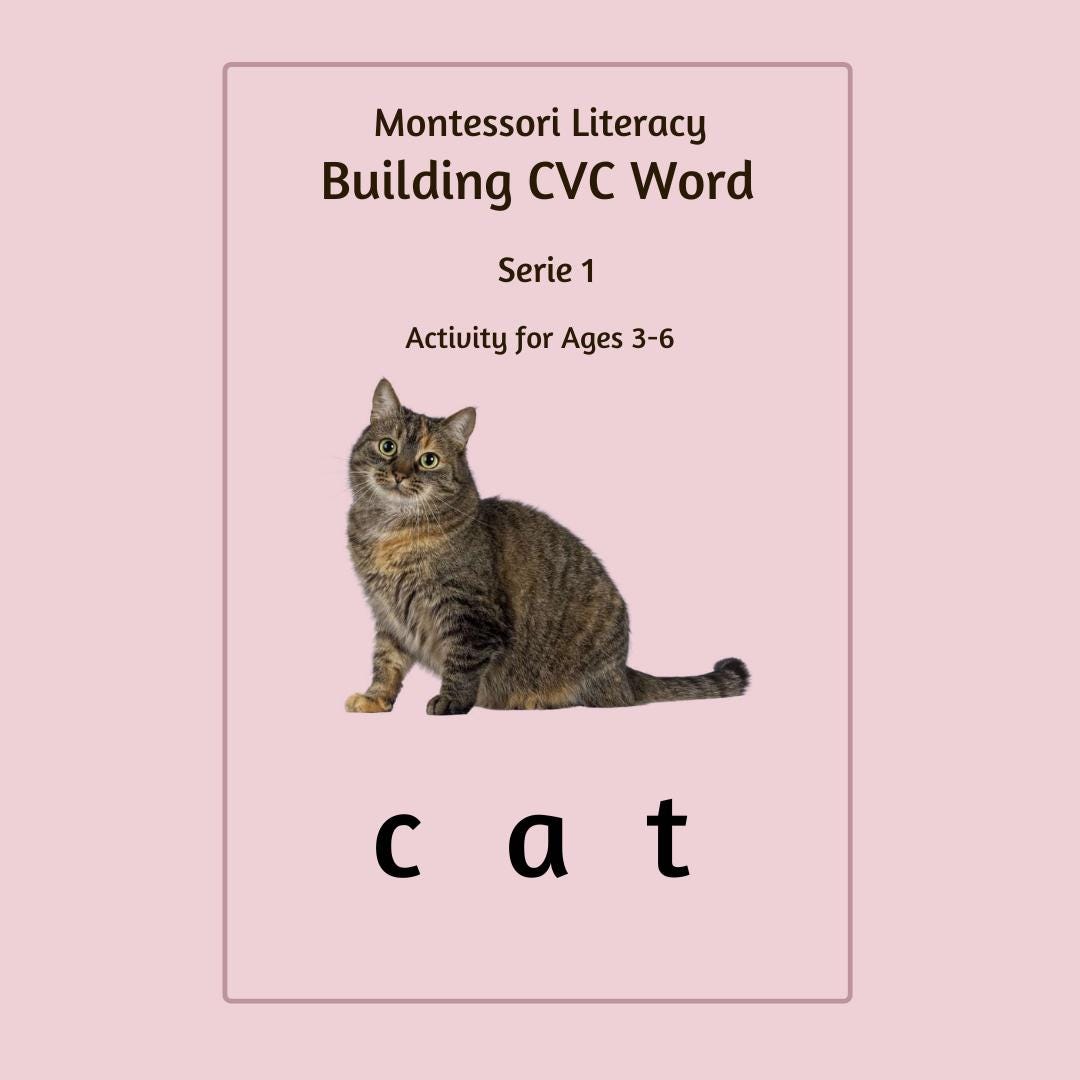 CVC Word Building Worksheets | Montessori Phonics | Early Reading ...