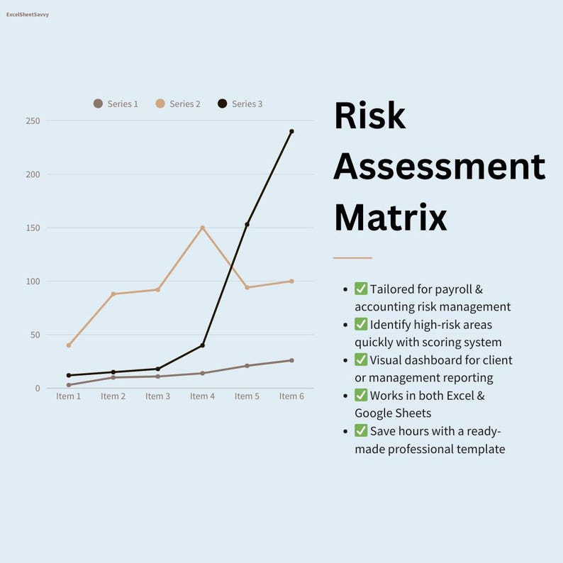 Payroll Risk Assessment Matrix | Excel & Google Sheets Template - Etsy