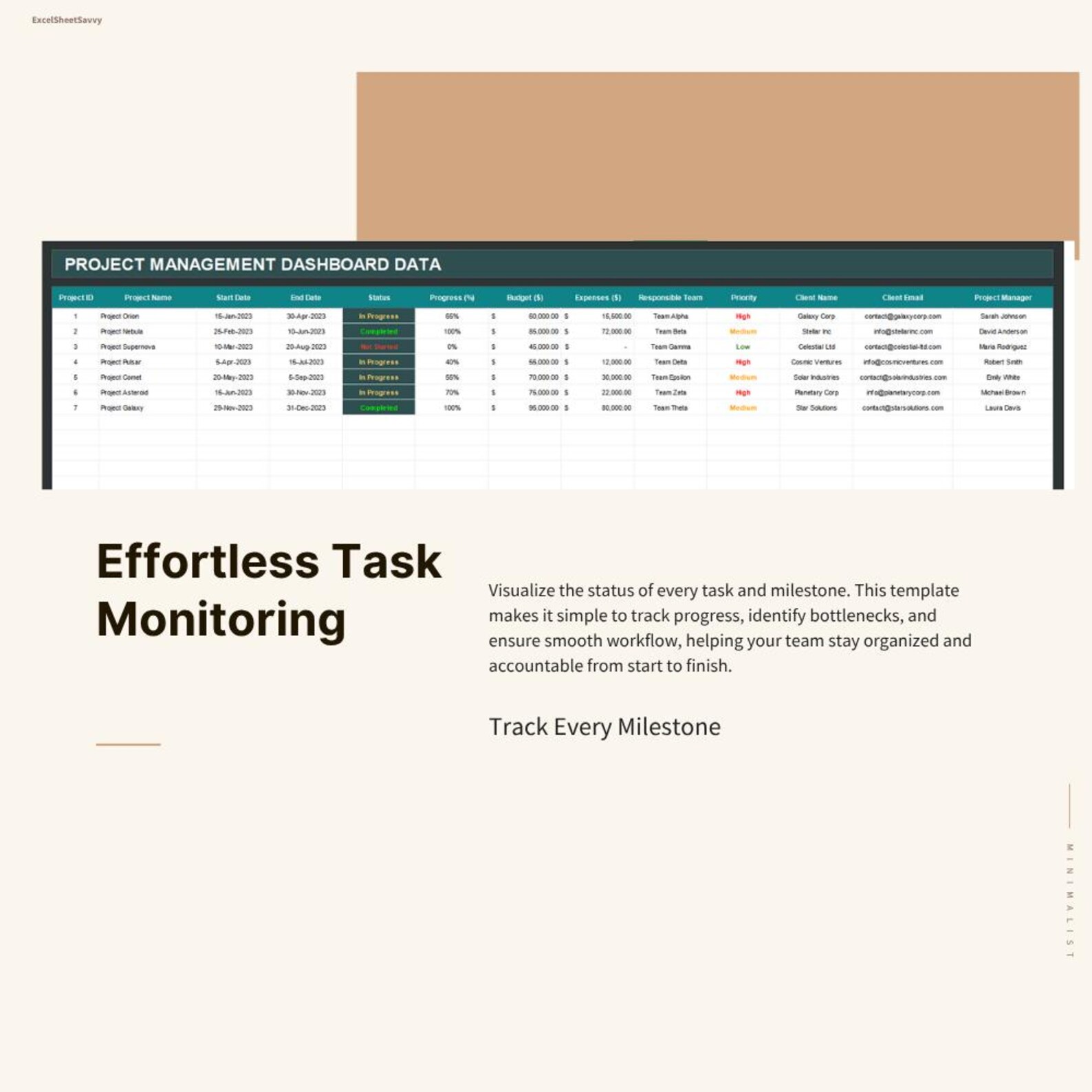 Project Management Dashboard: Excel & Google Sheets Budget Tracker - Etsy