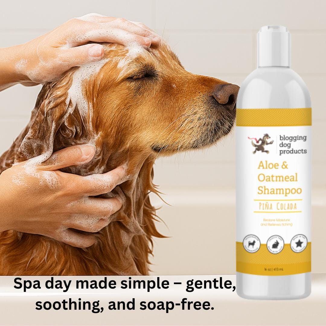 Pina Colada Dog Grooming Set: Oatmeal Shampoo, Pet Wipes & Deodorizing ...