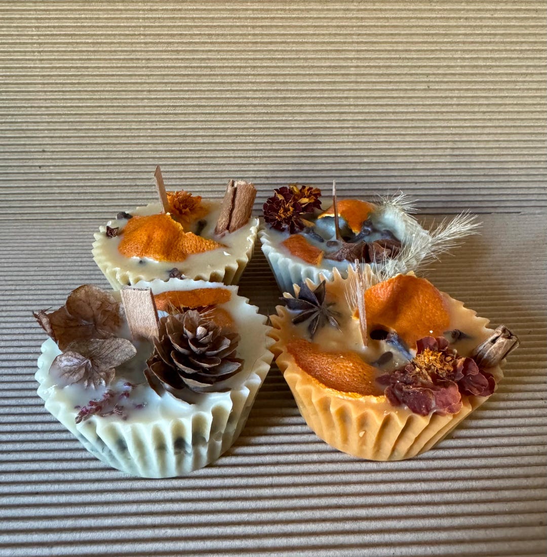 Set of 4 Fall Fire Starters | Wax Fire Starters | Natural Fire Starters ...