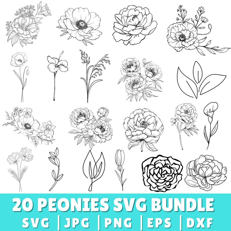 Peony Svg - Etsy