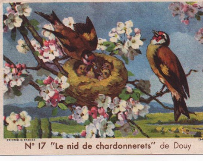 9 French Art Collectible Cards Cir. 1960s - Etsy