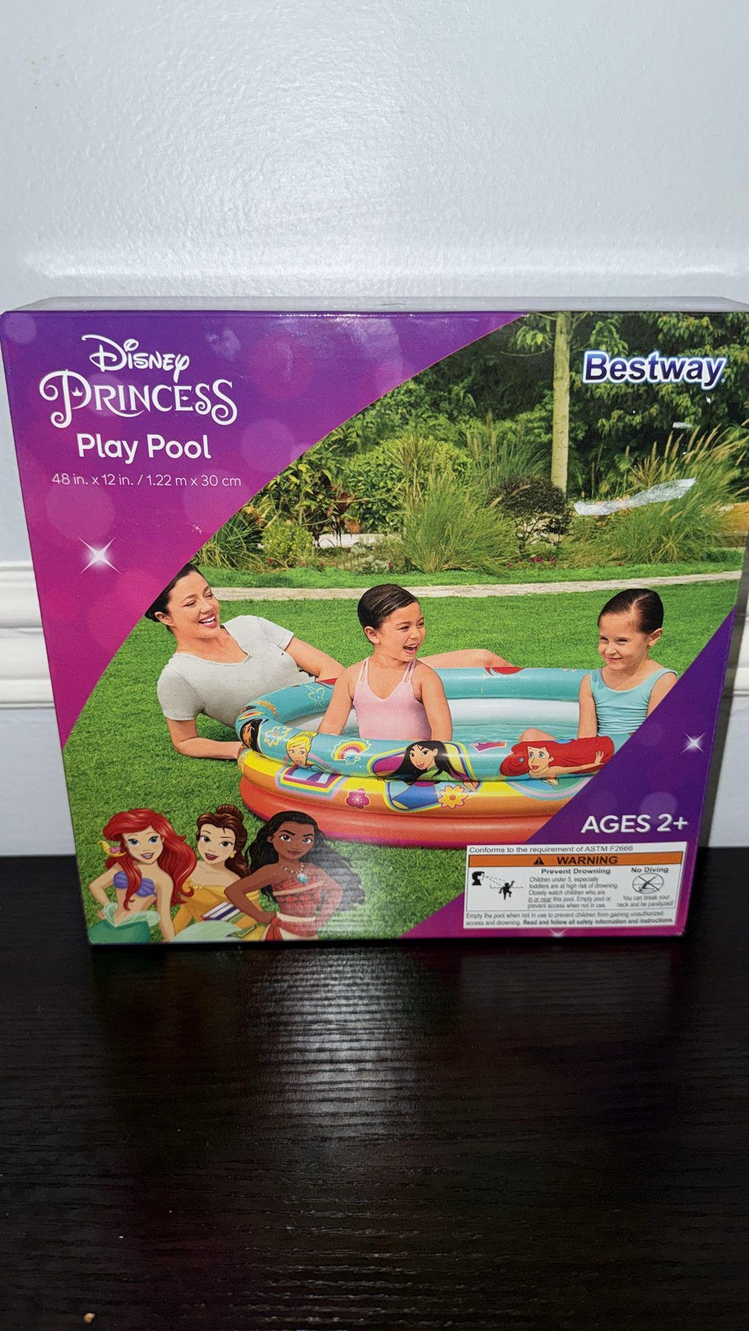 Disney Princess Play Pool - Etsy