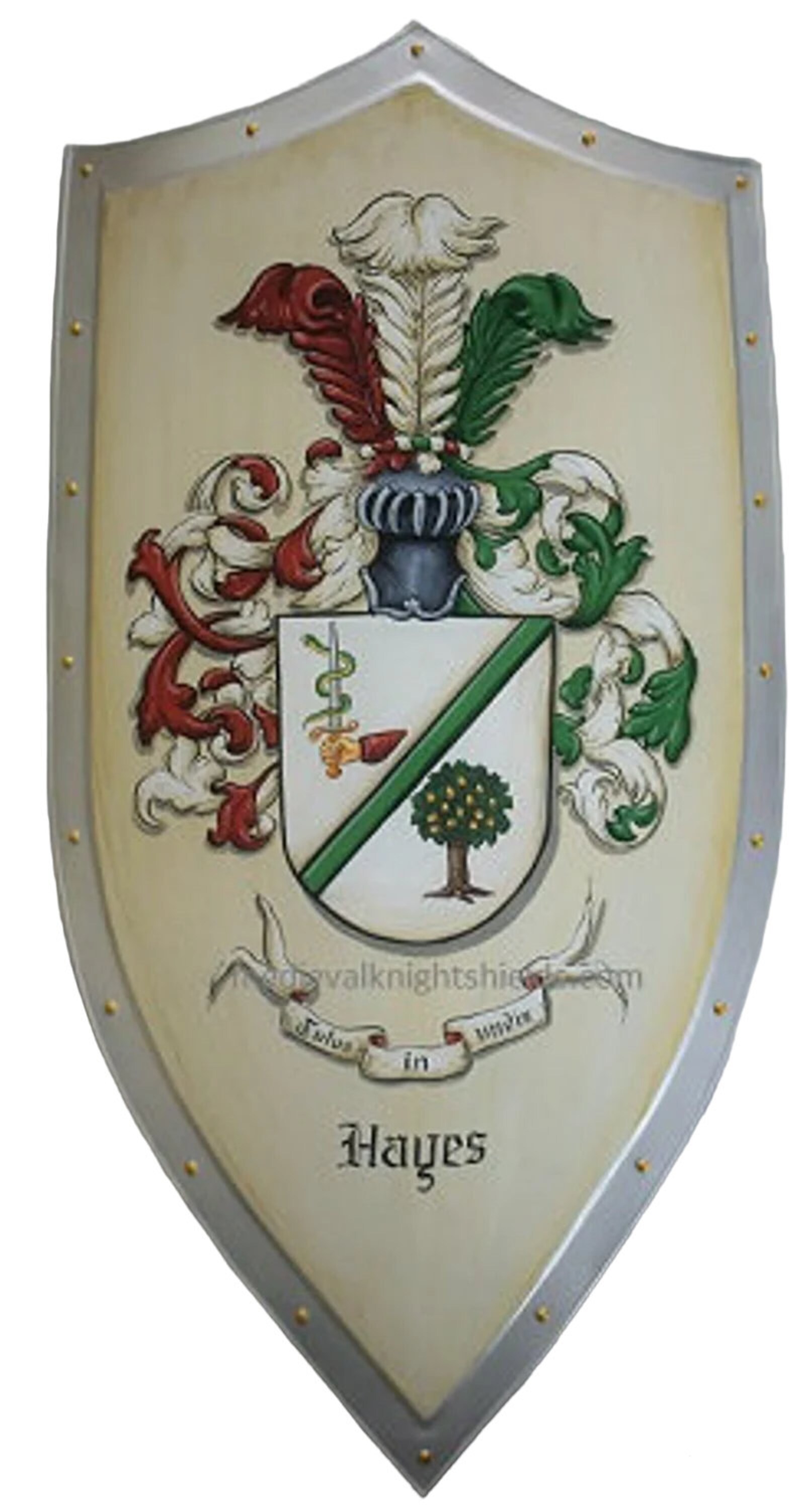 Personalized Wedding Gift Idea Fantasy Family Crest Shield - Etsy