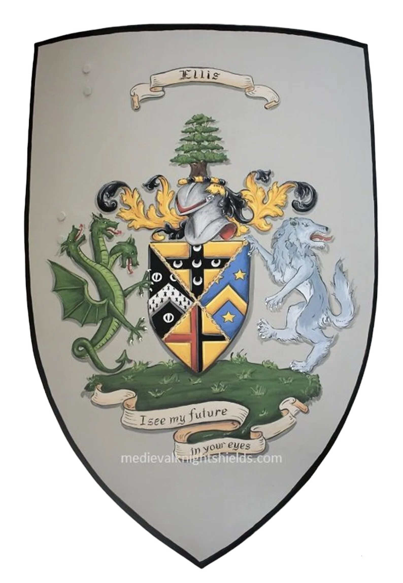 Personalized Wedding Gift Idea Fantasy Family Crest Shield - Etsy