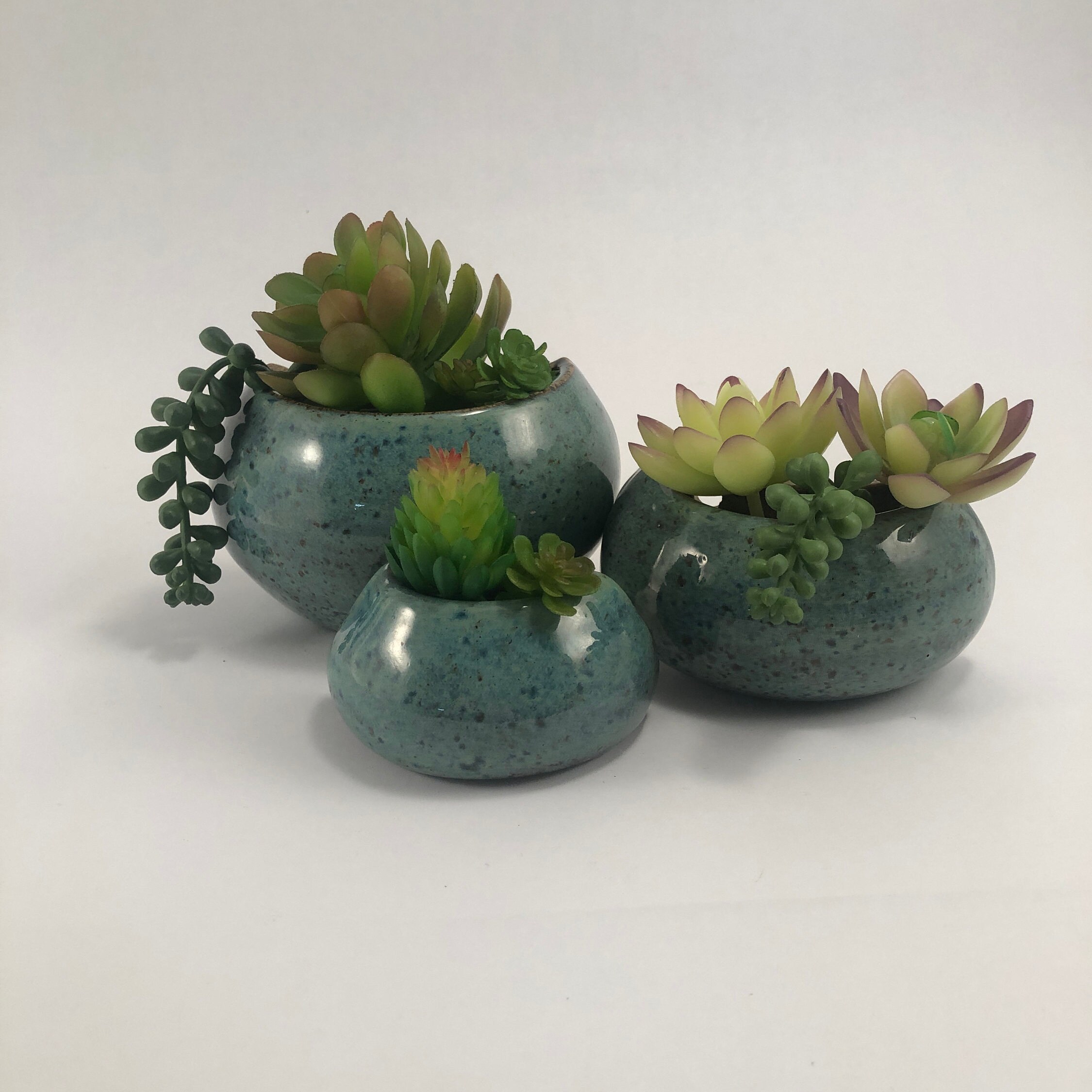 Ceramic Wall Pot Wall Planter for Succulents Air Plant Herbs | Etsy