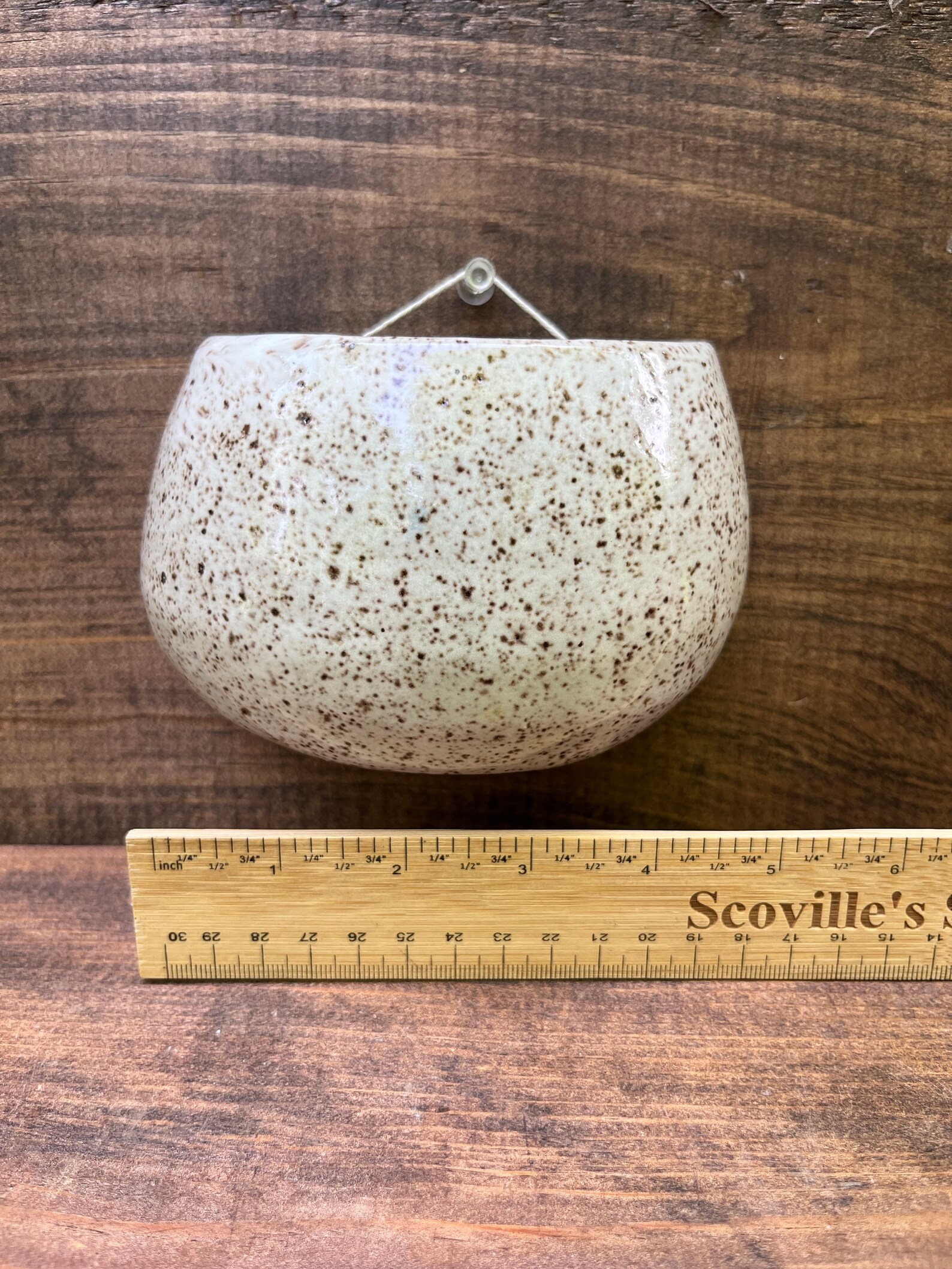 Ceramic Wall Pot Wall Planter for Succulents Air Plant Herbs - Etsy