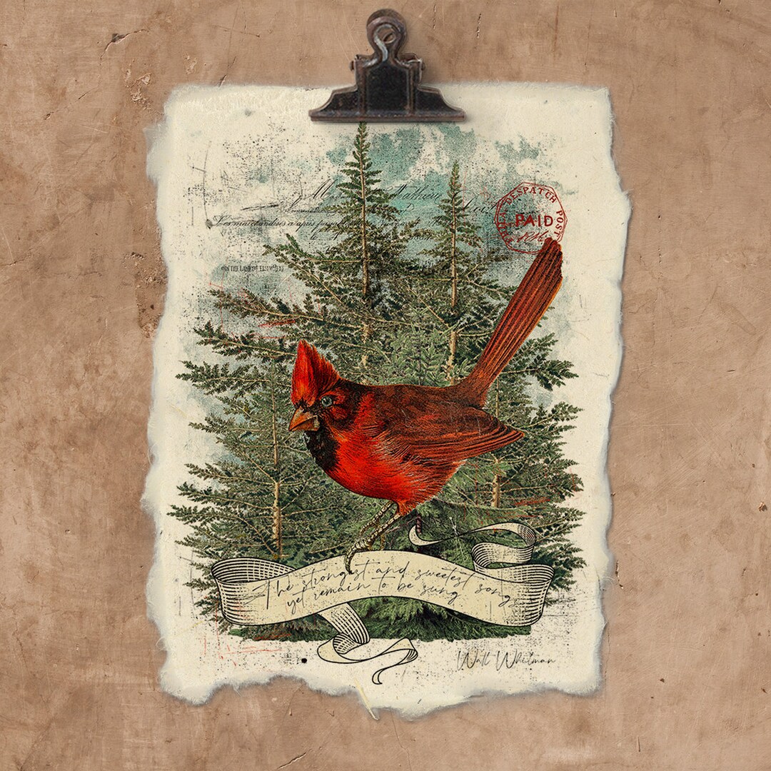 Artisan Redbird Handmade Paper Print - Etsy