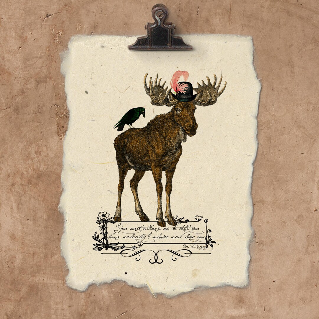 Artisan Mr. Darcy Moose & Crow Handmade Paper Print. - Etsy