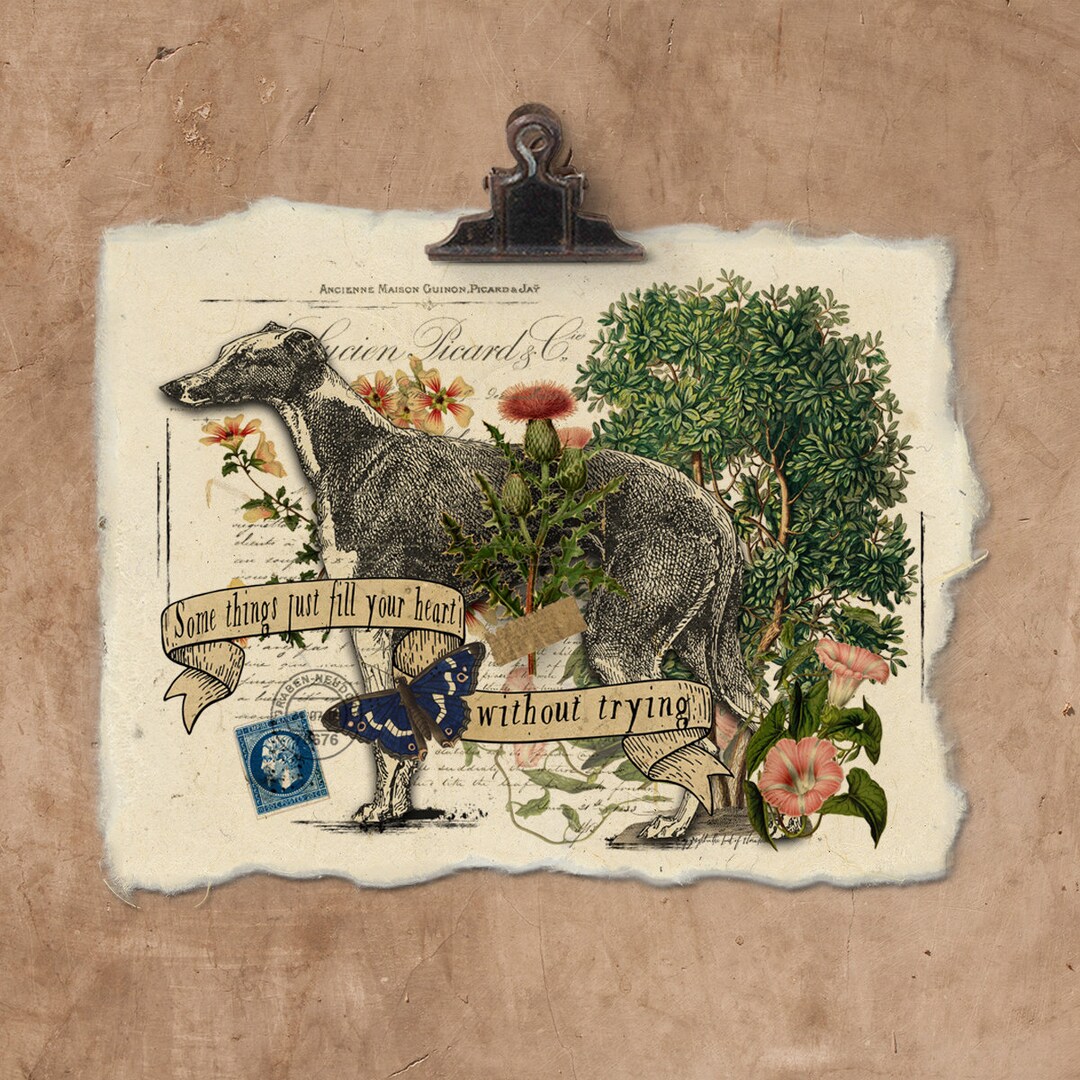 Artisan Greyhound Handmade Paper Print. - Etsy
