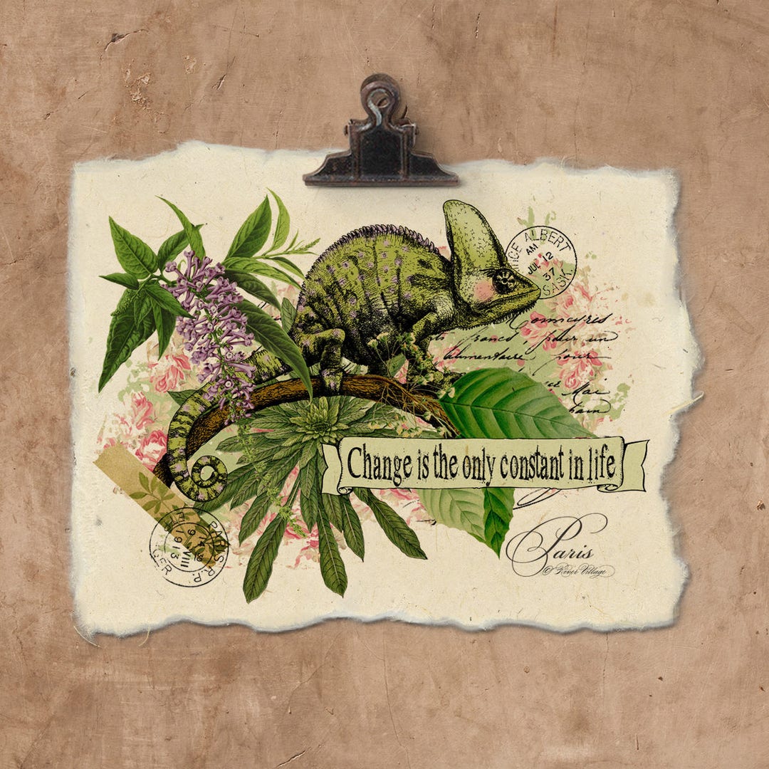 Artisan Chameleon Handmade Paper Print. - Etsy