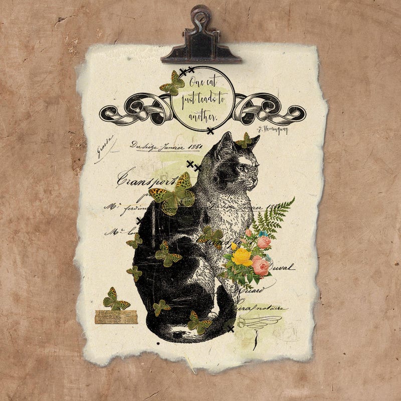 Hemingway Cat - Etsy