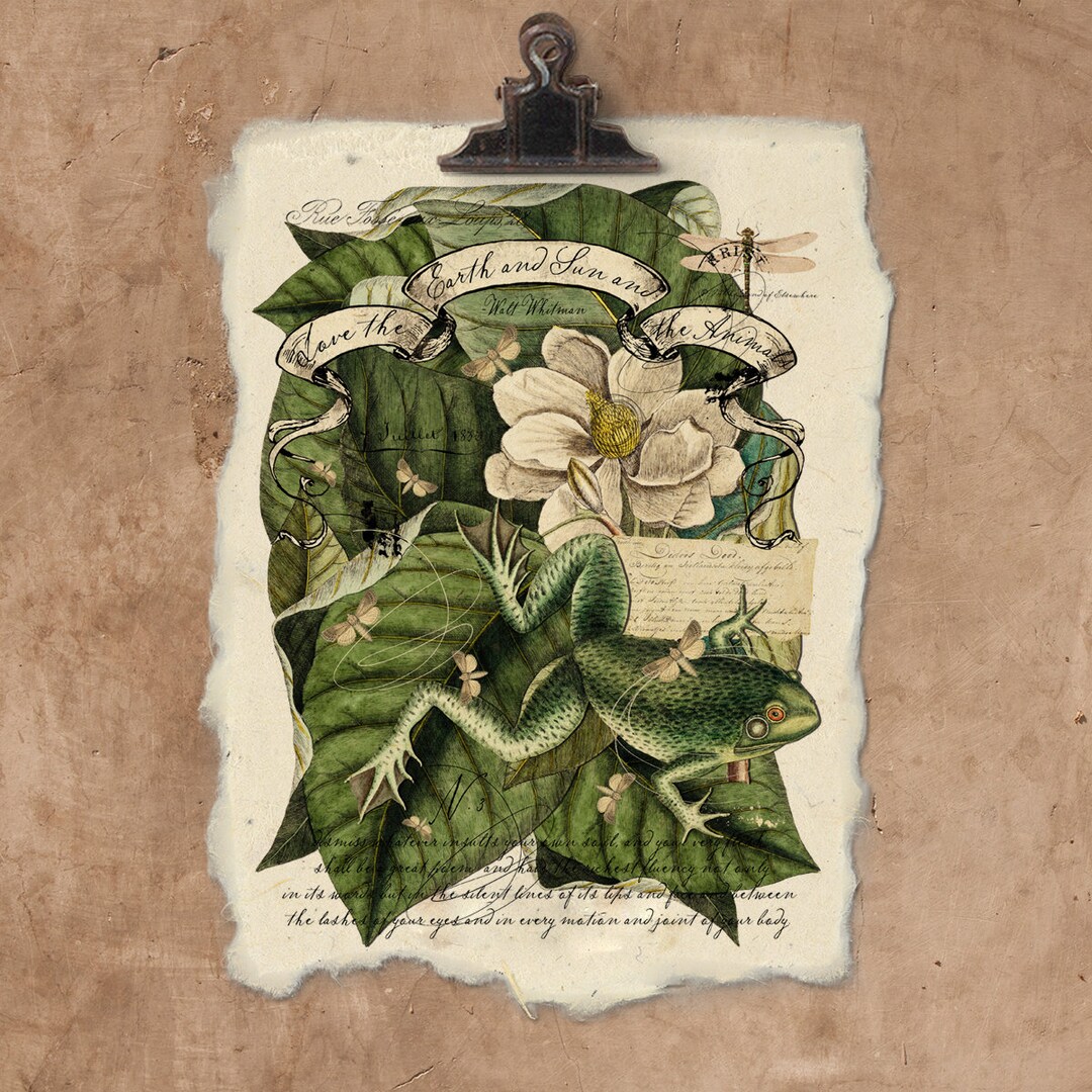 Artisan Woodland Frog Handmade Paper Print. - Etsy
