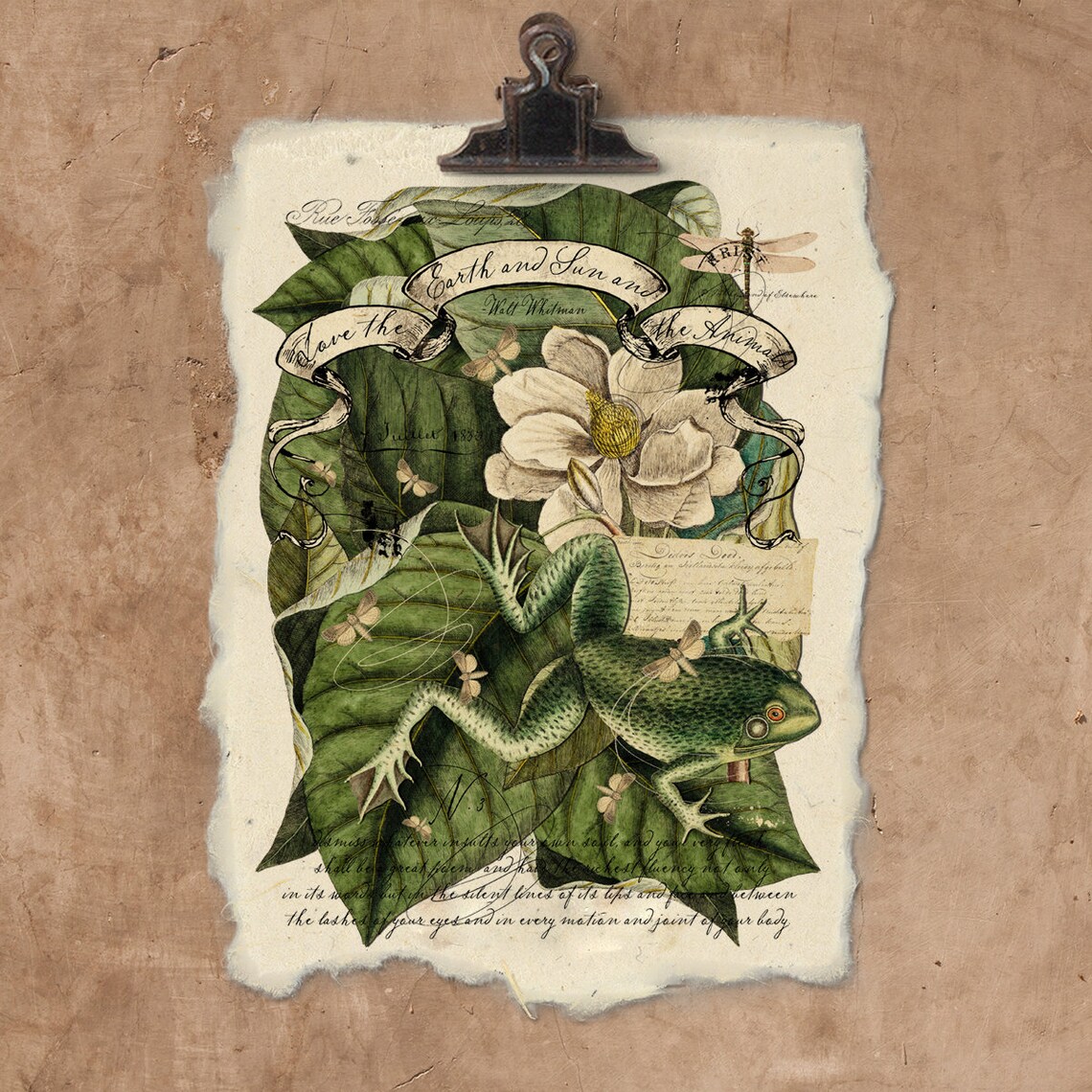 Artisan Woodland Frog Handmade Paper Print. - Etsy