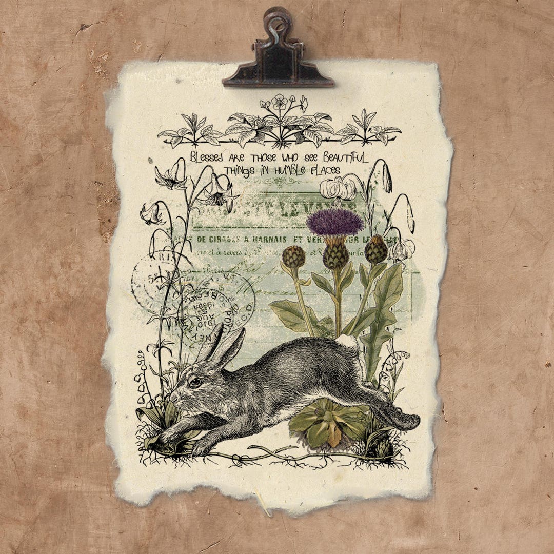Artisan Thistle and Bunny Handmade Paper Print. - Etsy