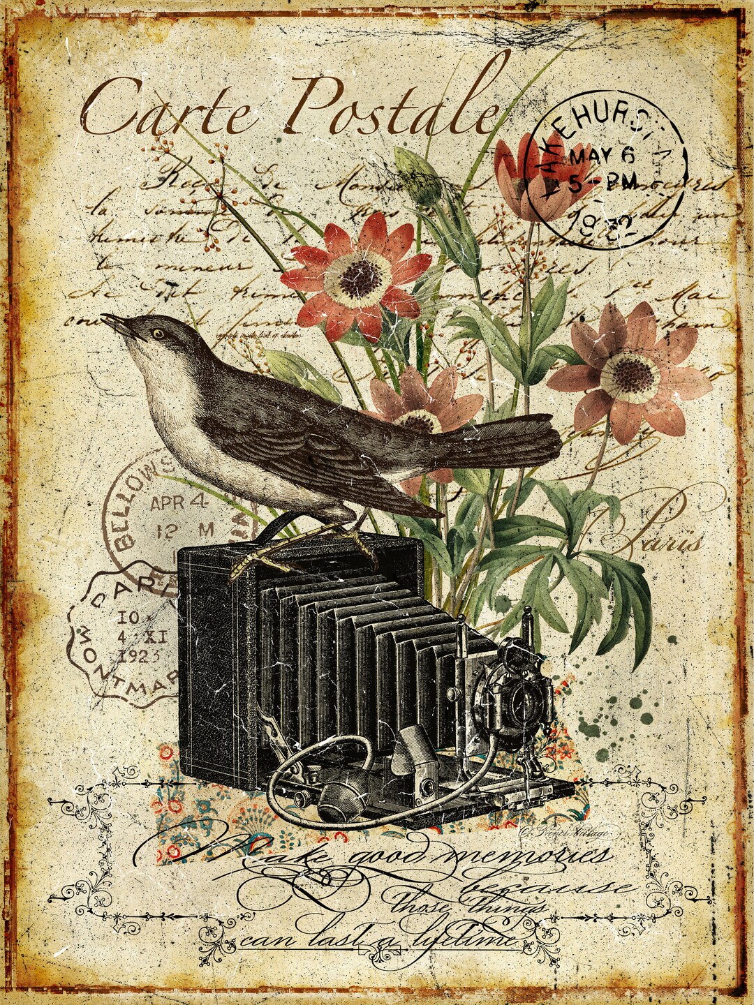 Artisan Birds and Camera 44X60 Canvas Wall Tapestry. - Etsy