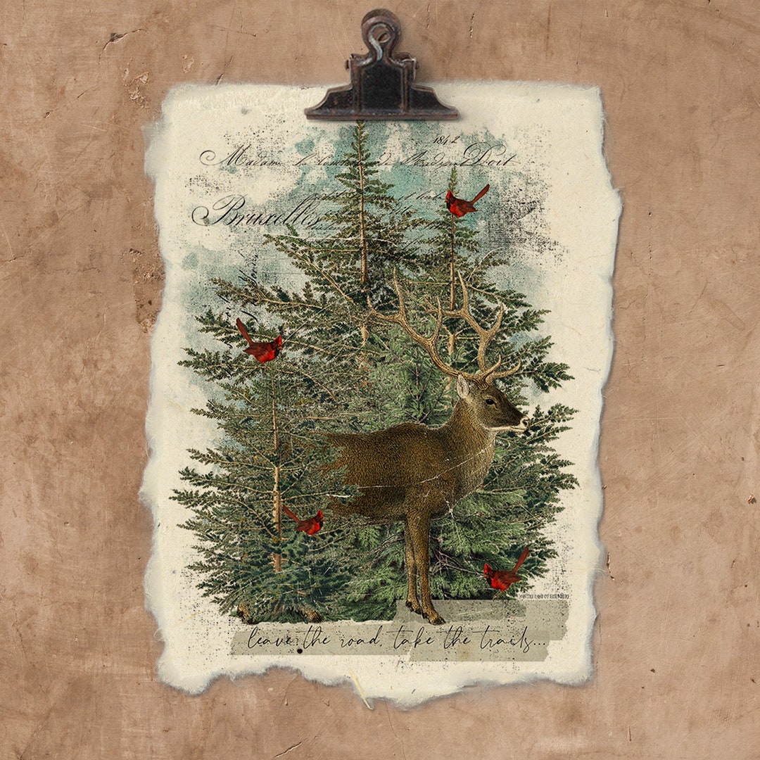 Artisan Woodland Trail Handmade Paper Print. - Etsy