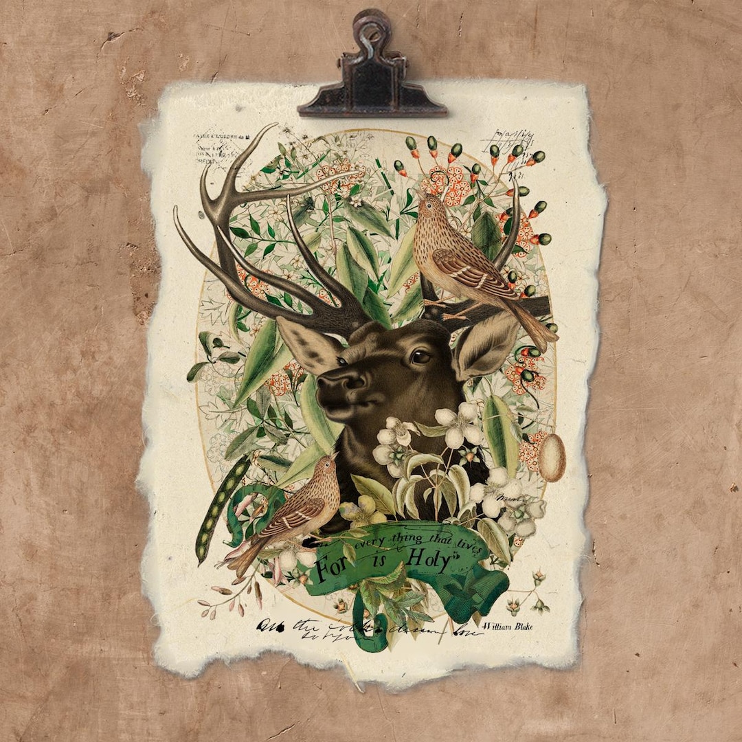 Artisan Woodland Buck Handmade Paper Print - Etsy