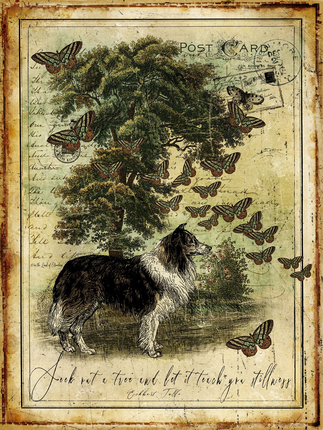 Artisan Collie 44X60 Canvas Wall Tapestry. - Etsy