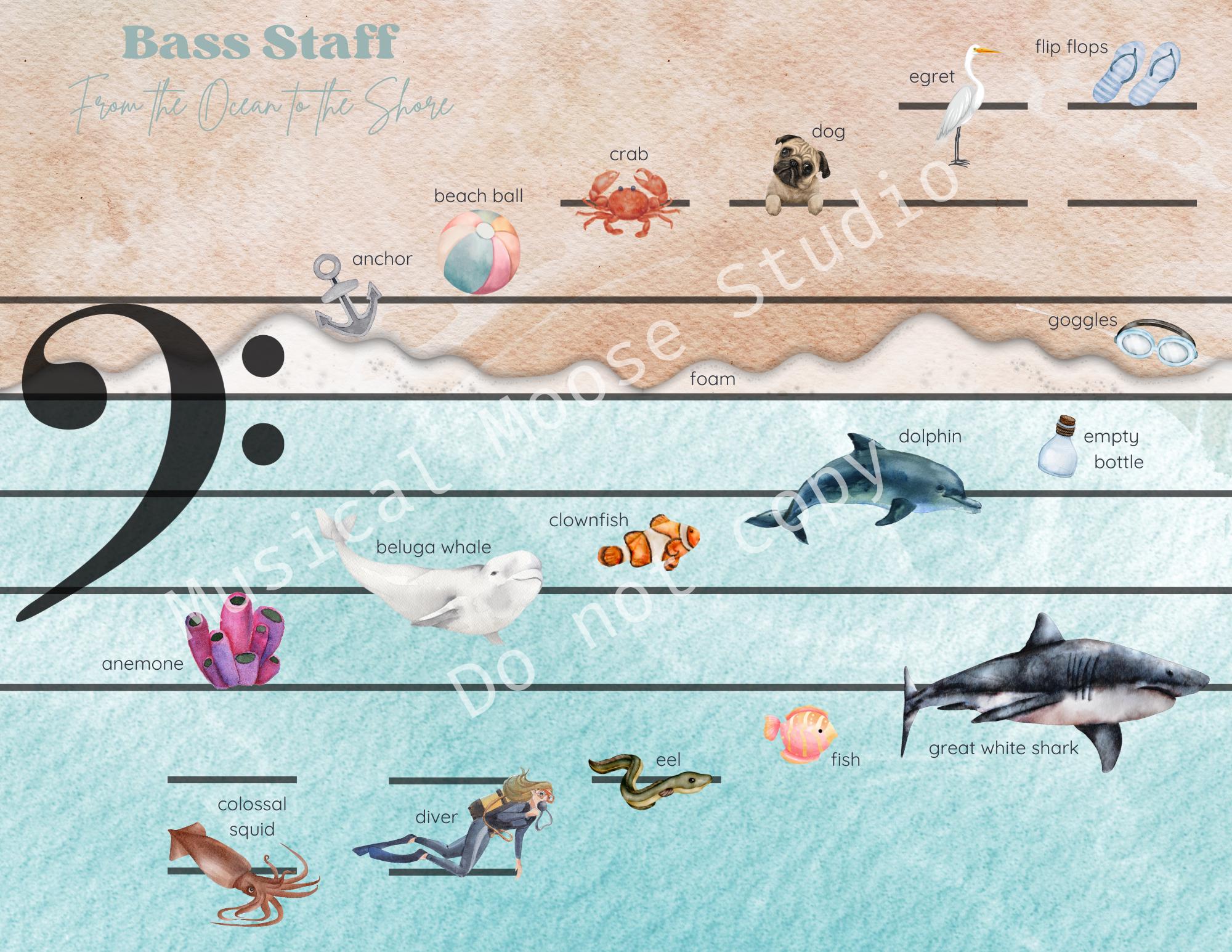 Treble and Bass Staff Posters. Music Teaching Visuals. Printable Charts ...