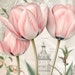 Floral Rice Paper for Decoupage / Pink Tulips / Scrapbooking / Card ...