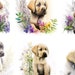 Rice Paper for Decoupage, Labrador Dogs, Scrapbooking, Journals ...