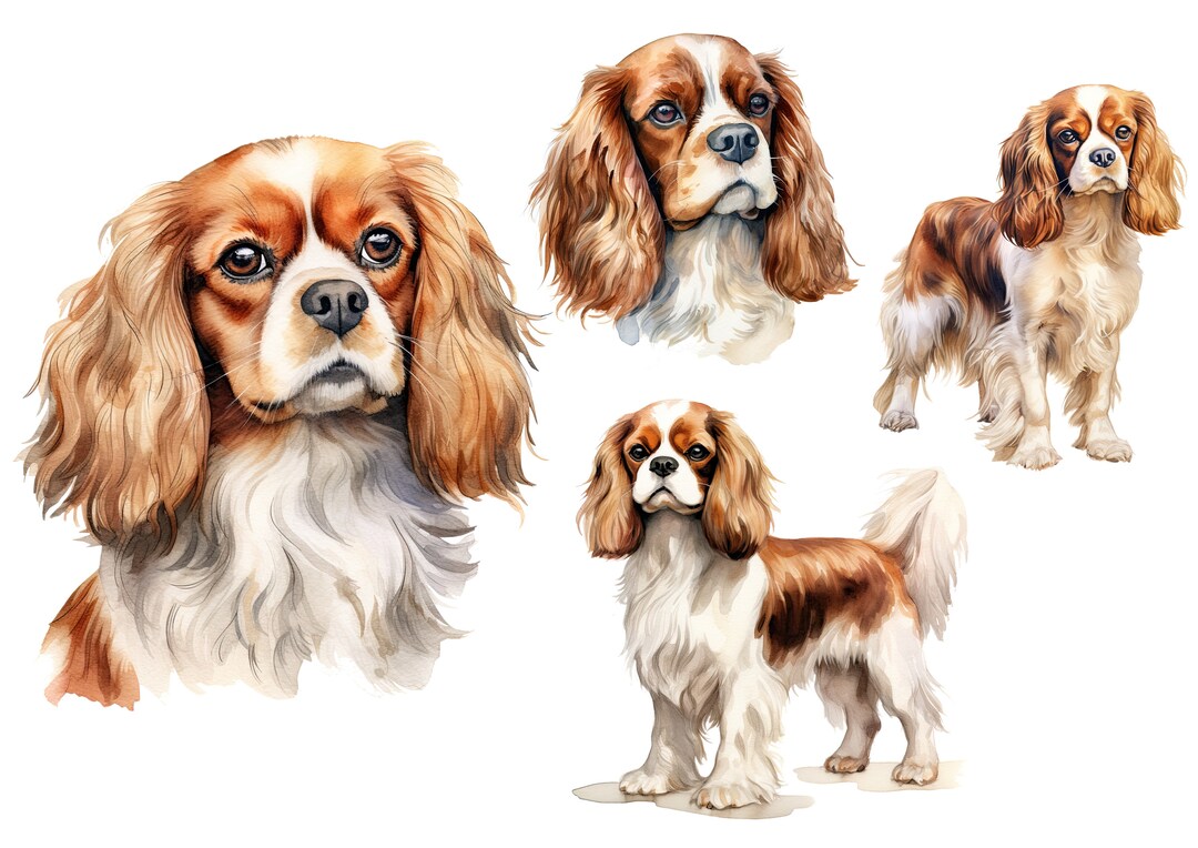 King Charles Cavalier Dog Rice Paper for Decoupage: Watercolor Collage ...