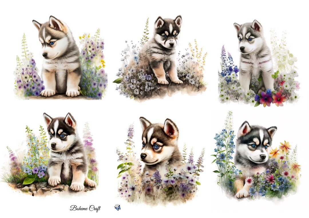 Rice Paper for Decoupage, Husky Dogs, Scrapbooking, Journals, Various ...