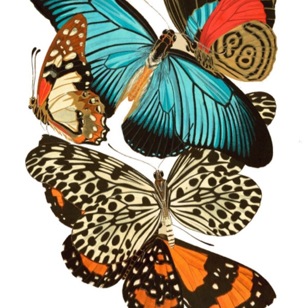 Decoupage Butterfly - Etsy