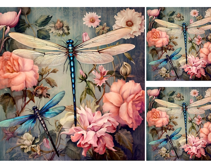 Stamperia Rice Paper Wonderland Dragonfly A4 Rice Paper Decoupage Rice ...