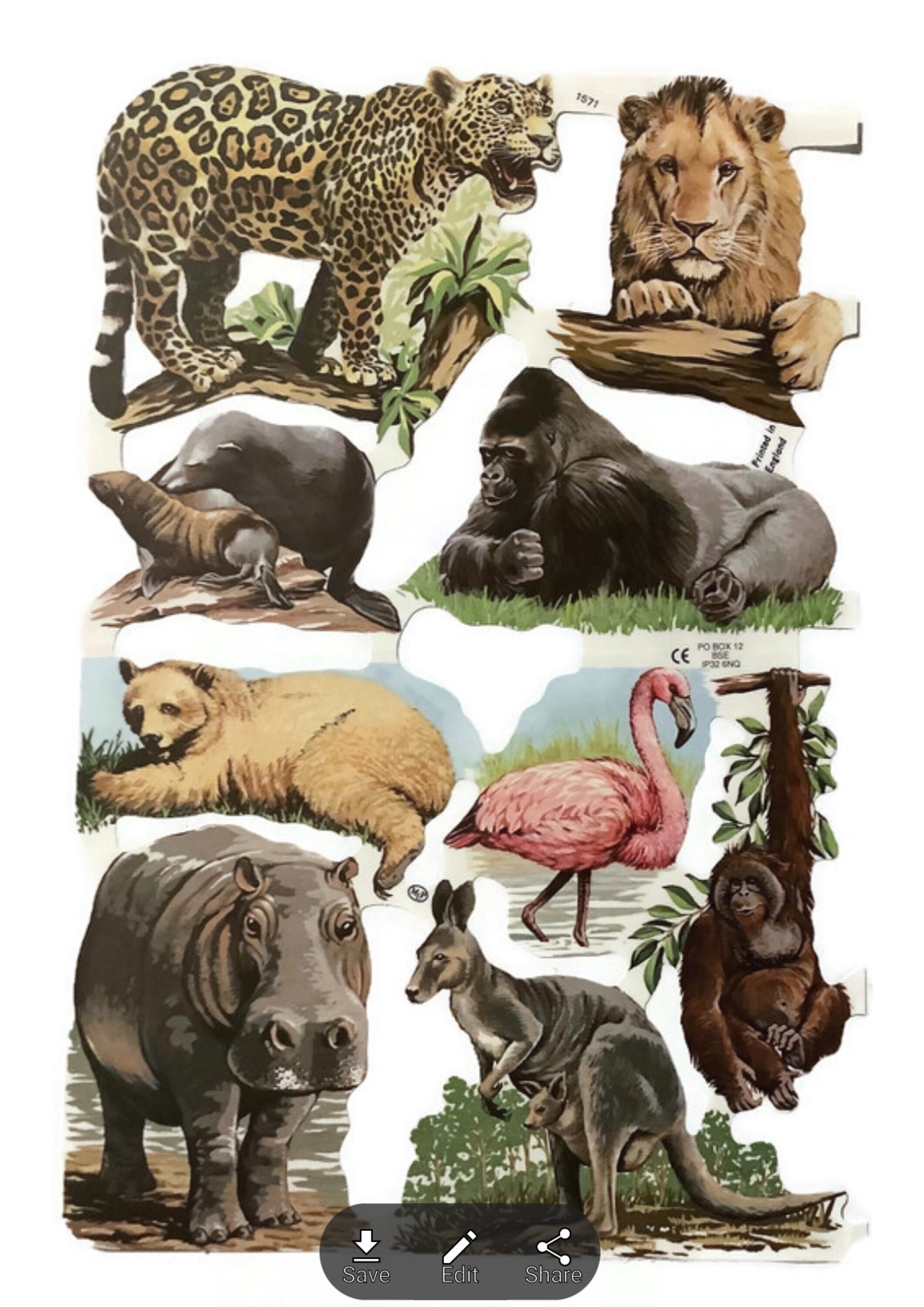Vintage Wild Animals Paper Scraps: MLP Die Cut Ephemera - Etsy