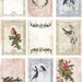 A4 Scrapbooking Paper Birds and Flowers, Floral Gift Tags, Spring ...