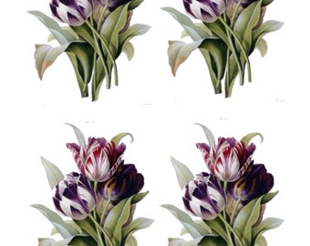 Rice Paper for Decoupage, Blue Iris Flowers, Decorative Mulberry ...