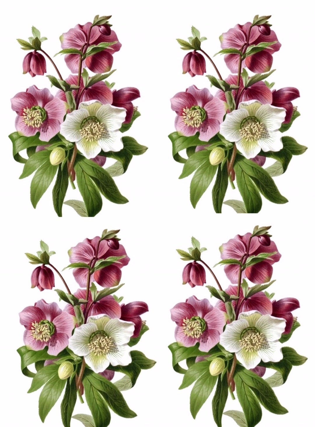 Flower Rice Paper for Decoupage / Scrapbooking / Card Making / Ephemera ...