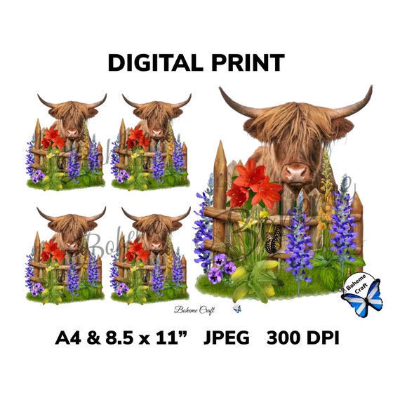 Highland Cow Printable Clipart Image Digital Download | Etsy Canada