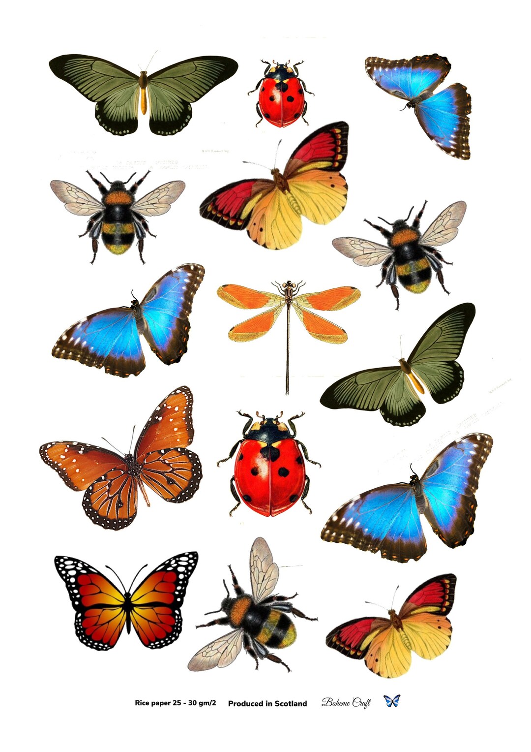 Rice Paper for Decoupage, Butterflies and Insects, Mulberry Tissue ...