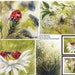 A4 Decoupage Paper, Ladybug Collage, Ladybird Print, Nature Journal ...