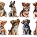 Rice Paper for Decoupage, Dogs, Scrapbooking, Journals, Various Sizes ...