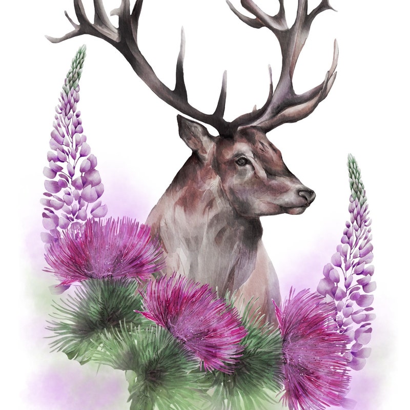 Scottish Stag - Etsy
