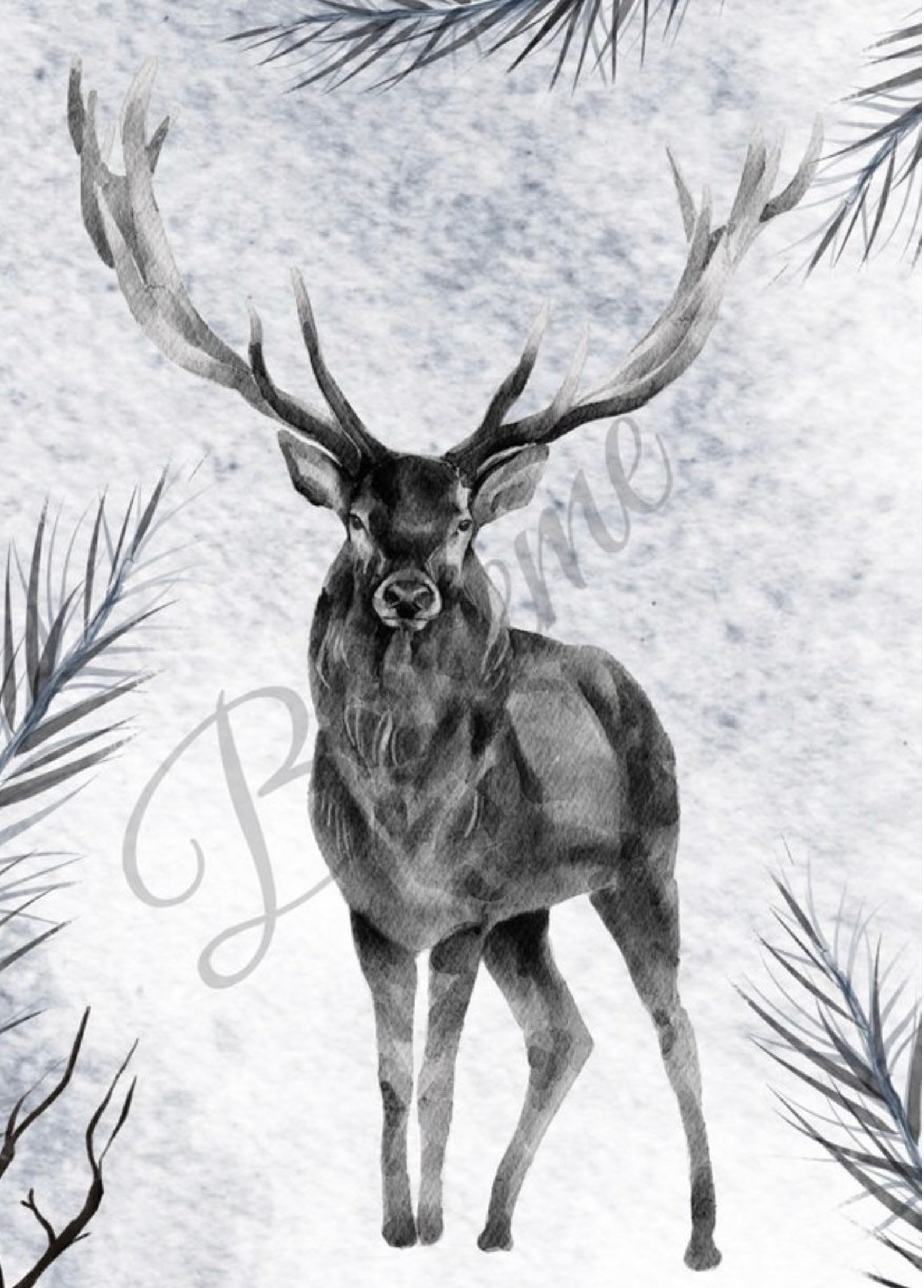 Printable Wild Stag Illustration Instant Download Stag Wild | Etsy
