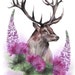 Rice Paper for Decoupage, Scottish Stag Deer, Scottish Collage ...