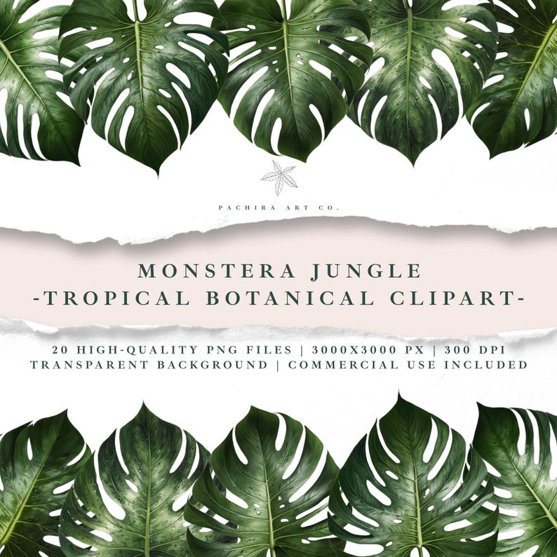 20 PNG, Monstera Leaf Clipart Bundle, Tropical Greenery Botanical Set ...