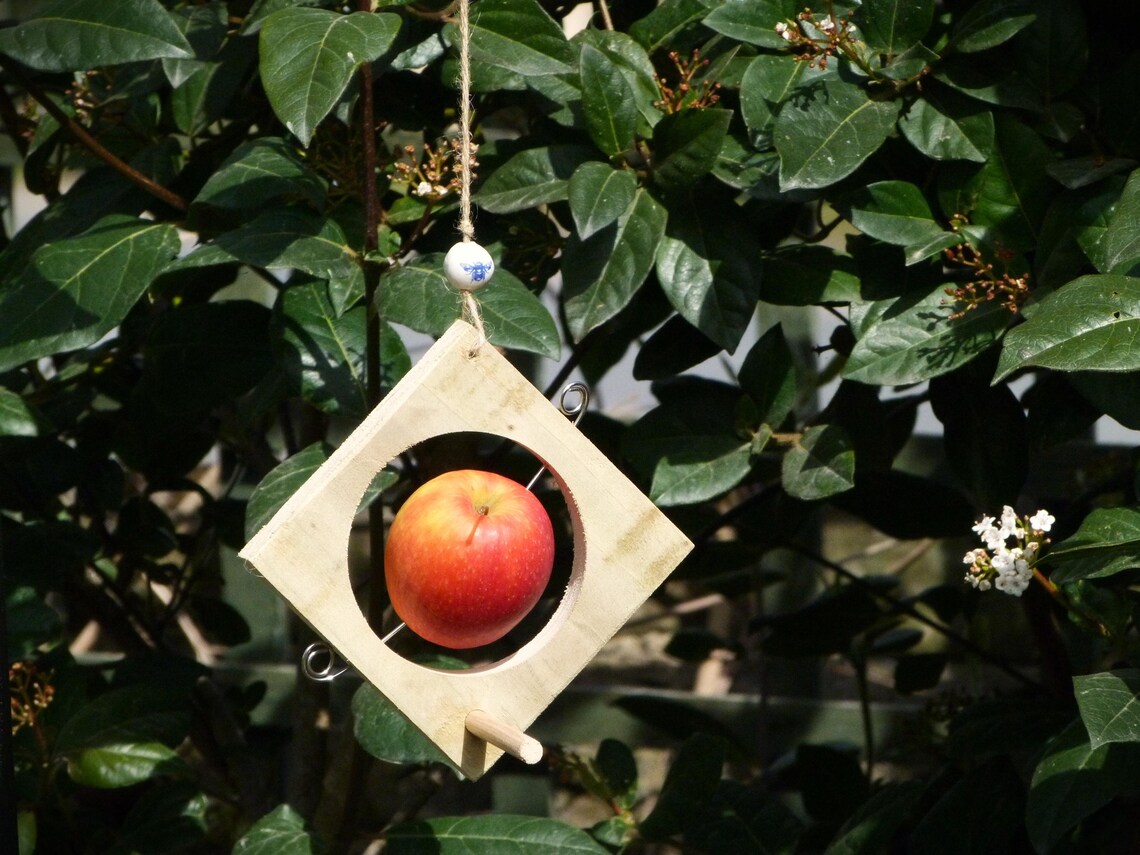 Handmade Hanging Wooden Bird Feeder, Apple Feeder, Fruit and Fat Ball ...