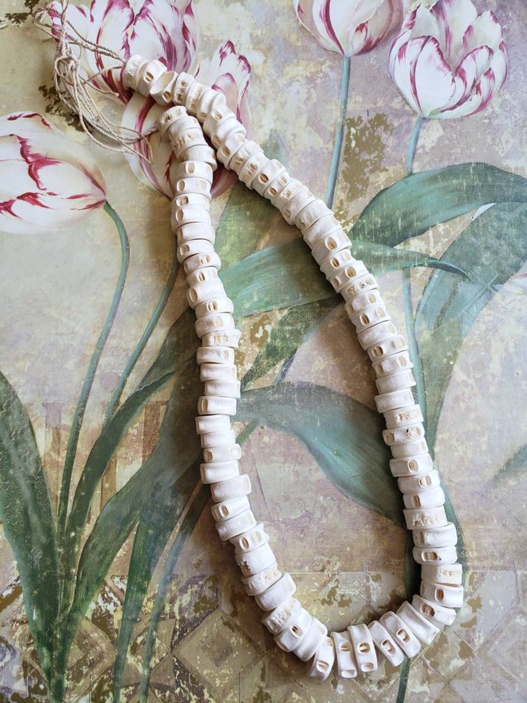 Vintage Fish Bone Vertebrae for Jewelery Design Projects - Etsy