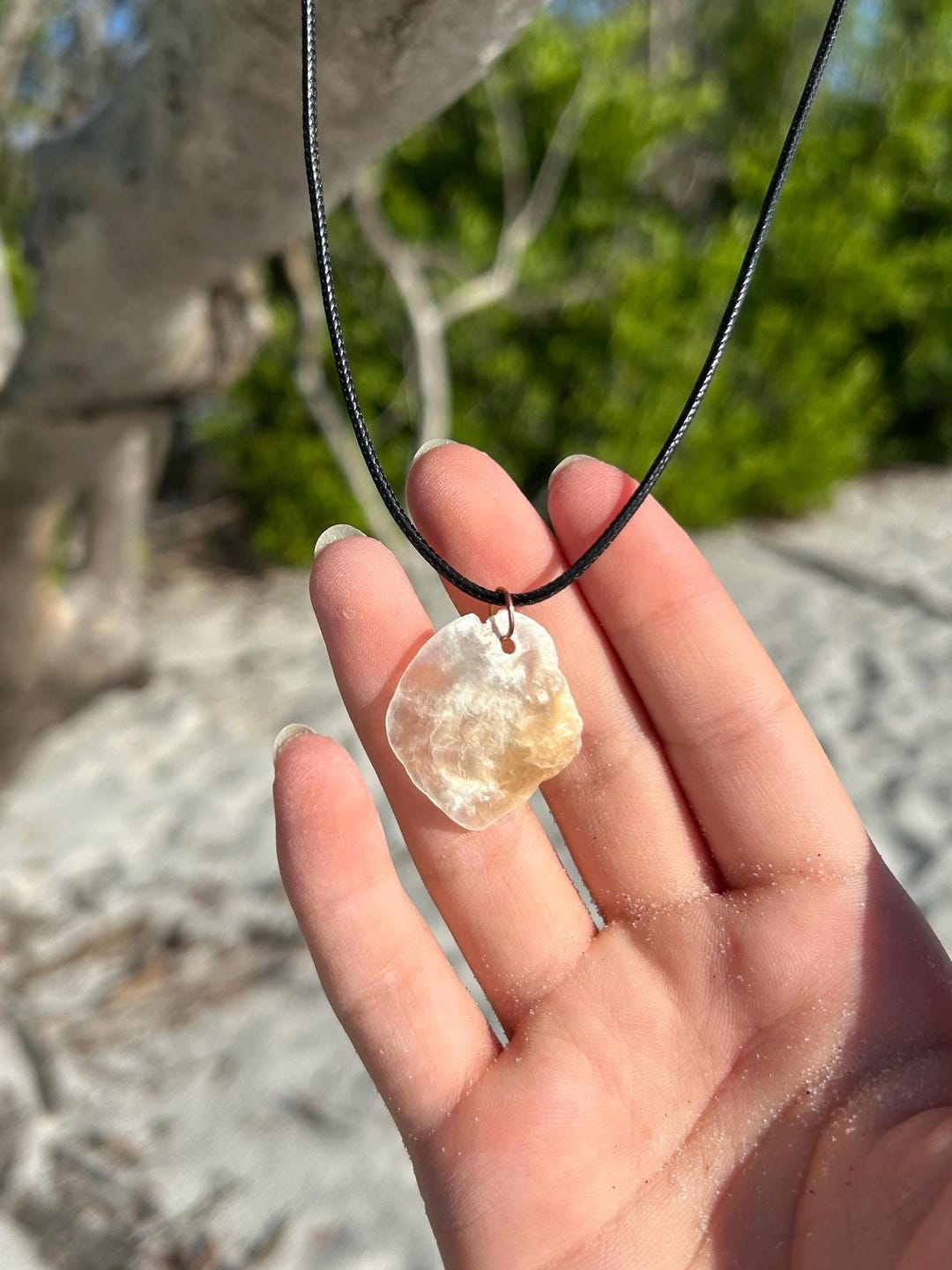 The Oyster Shell Necklace - Etsy