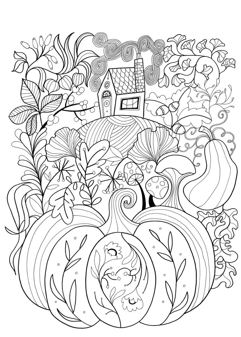 Digital File: Autumn Colouring Sheet - Etsy